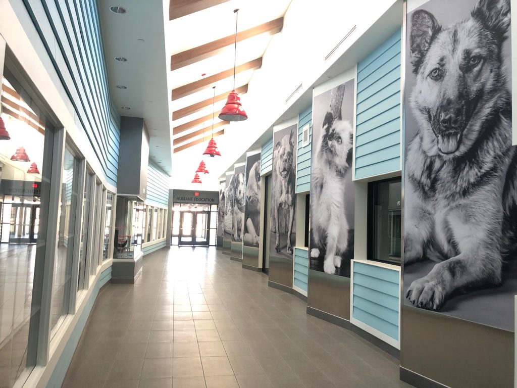 Tour for Life Adoption Event Coming to IHS - Idaho Humane Society