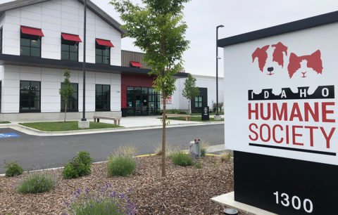 Camps - Idaho Humane Society