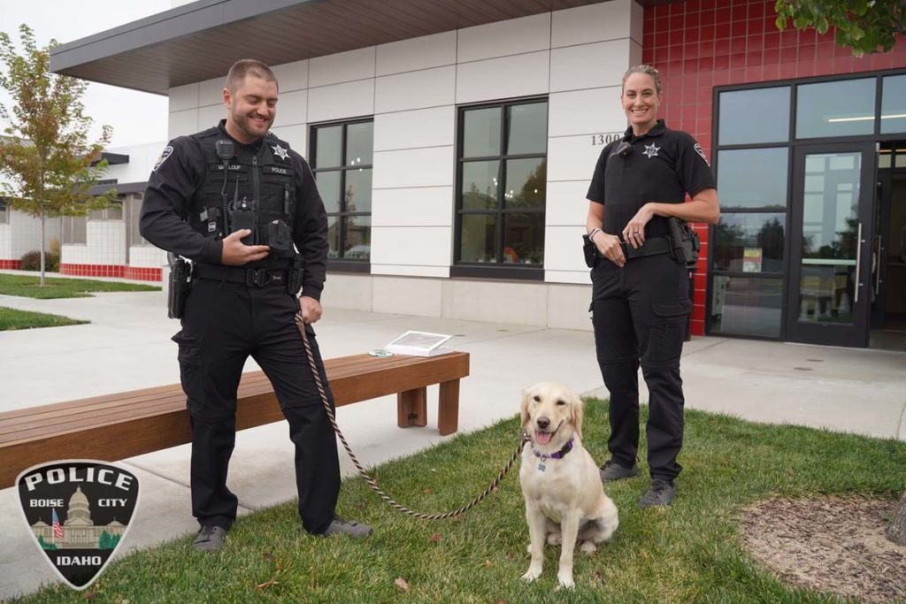 Idaho Humane Society shelter dog to join Boise Police Department ...