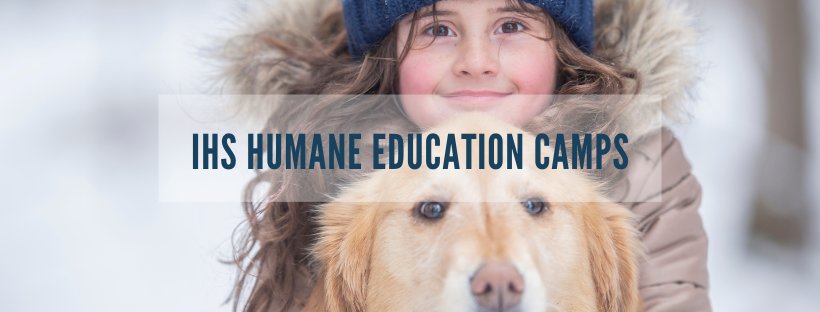 Junior Service Workshops - Idaho Humane Society