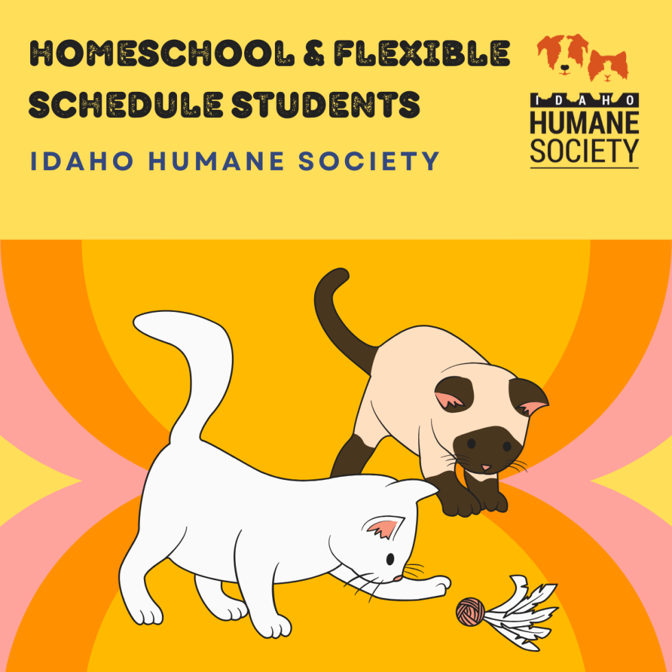 Homeschool Thursdays - Idaho Humane Society
